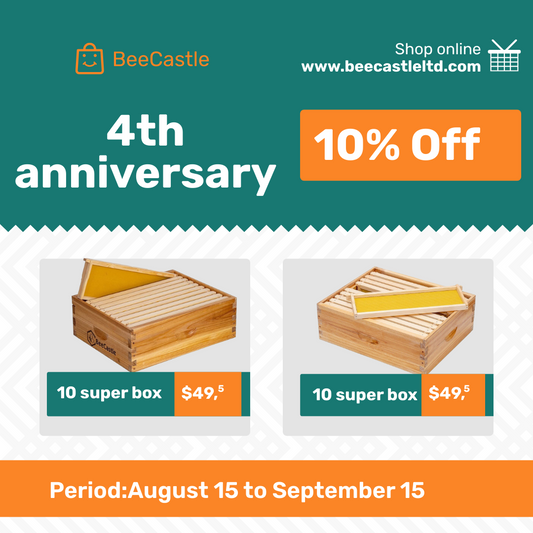 Continued Learning and Observation – BeeCastle Hives