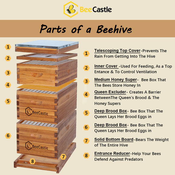 BeeCastle Hives Complete 10 Frame 3 Layer Wax Coat Beehive Kit