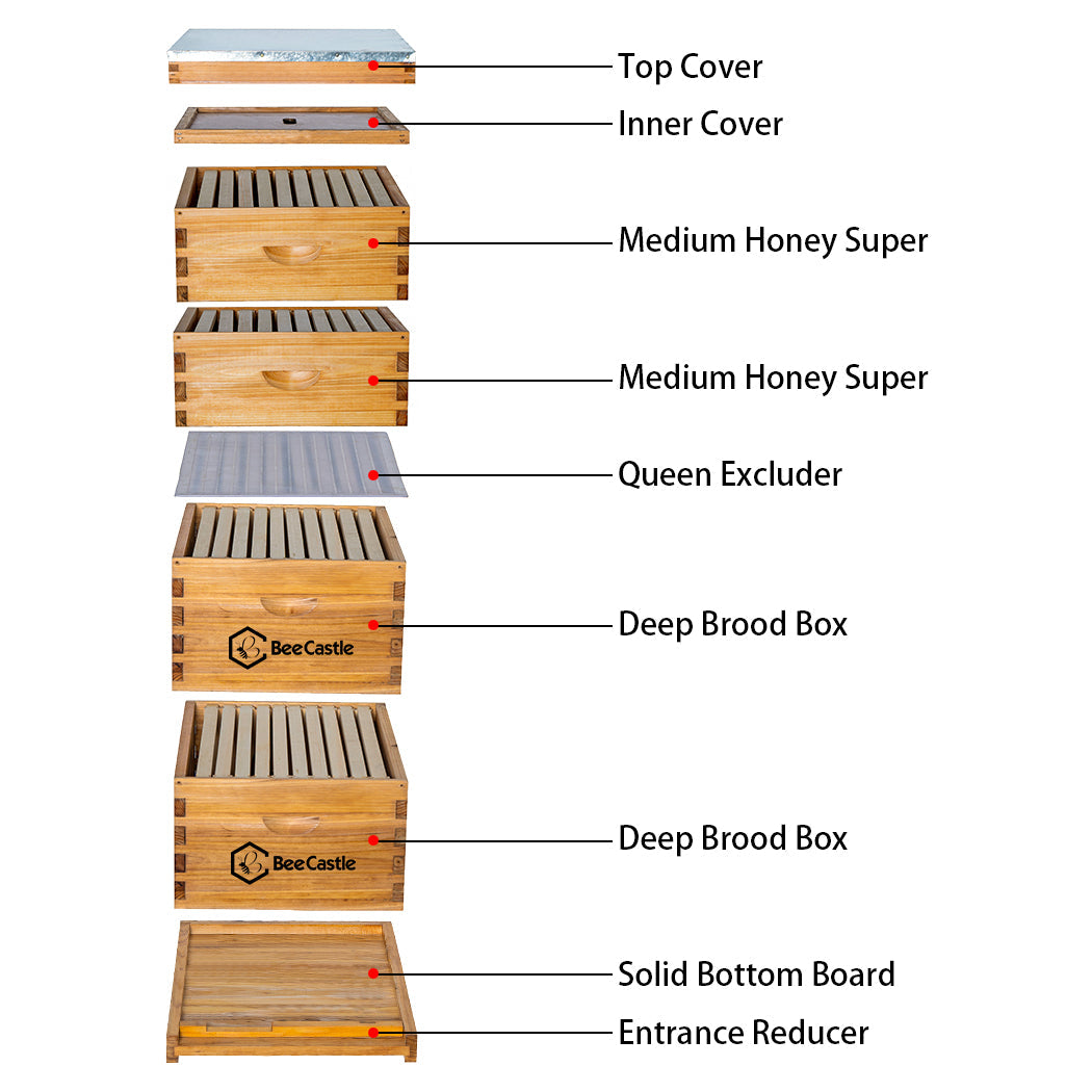 BeeCastle Wax Coetd Beehive And Unboiled beehive – BeeCastle Hives