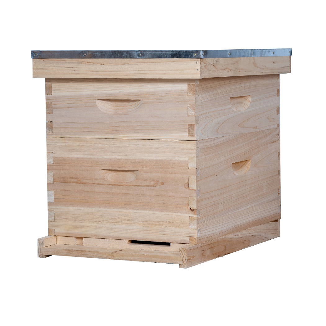 BeeCastle Natural Hive 10 Frame 2 Layer Beehive – BeeCastle Hives