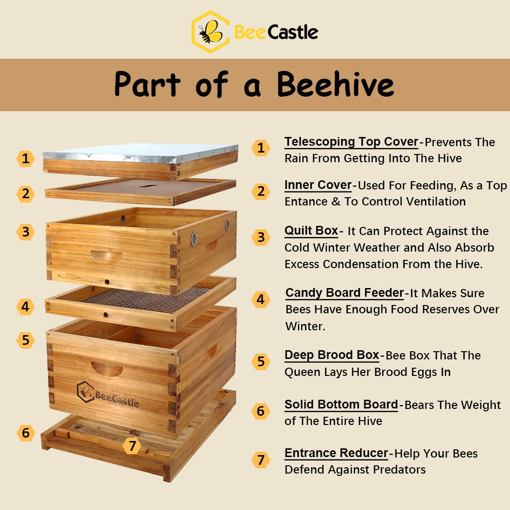 BeeCastle Beehive Boxes and Frames – BeeCastle Hives