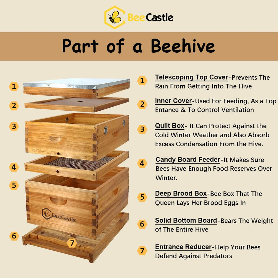 BeeCastle Beehive Boxes and Frames – BeeCastle Hives