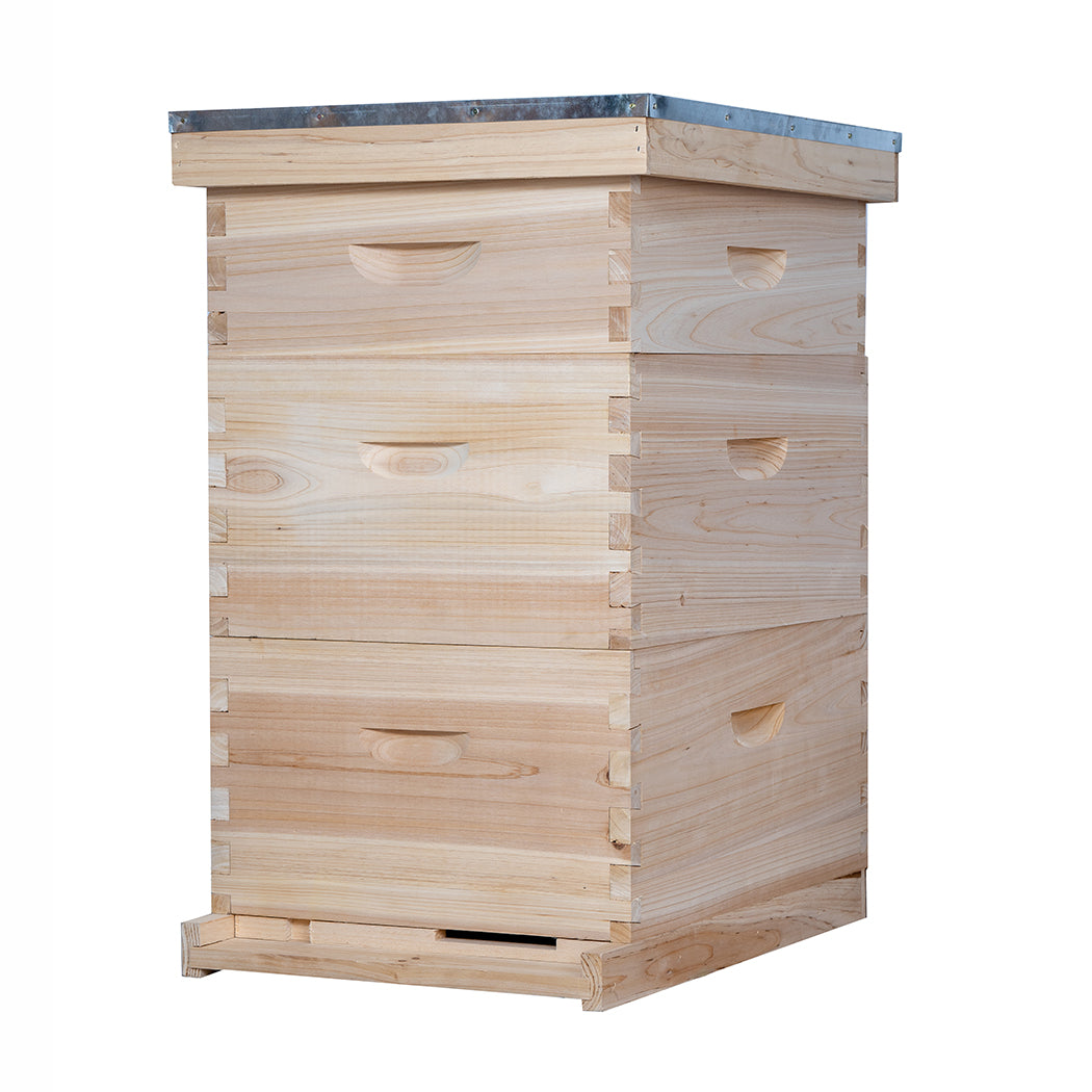 BeeCastle Unwax 10 Frame 3 Layer Beehive – BeeCastle Hives
