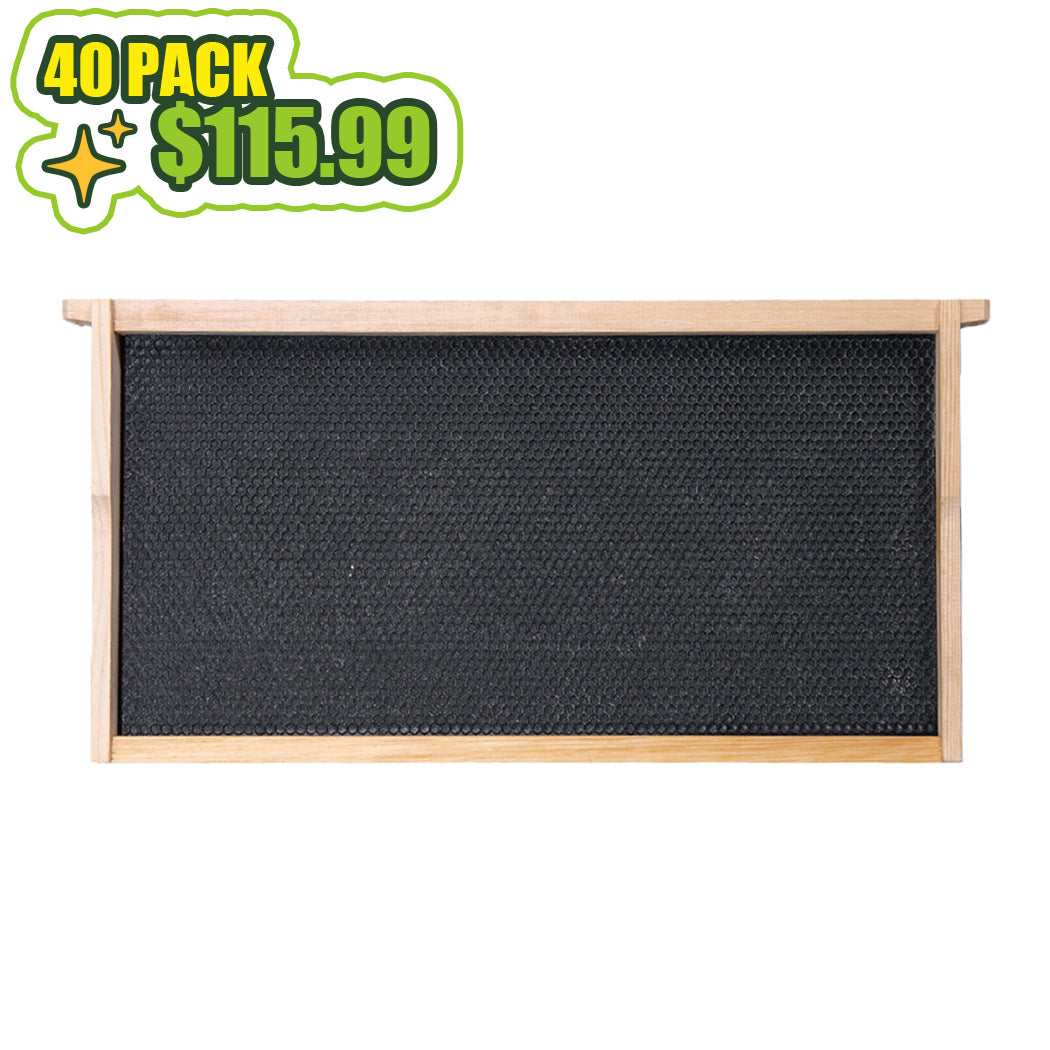 Frame and Foundation – BeeCastle Hives