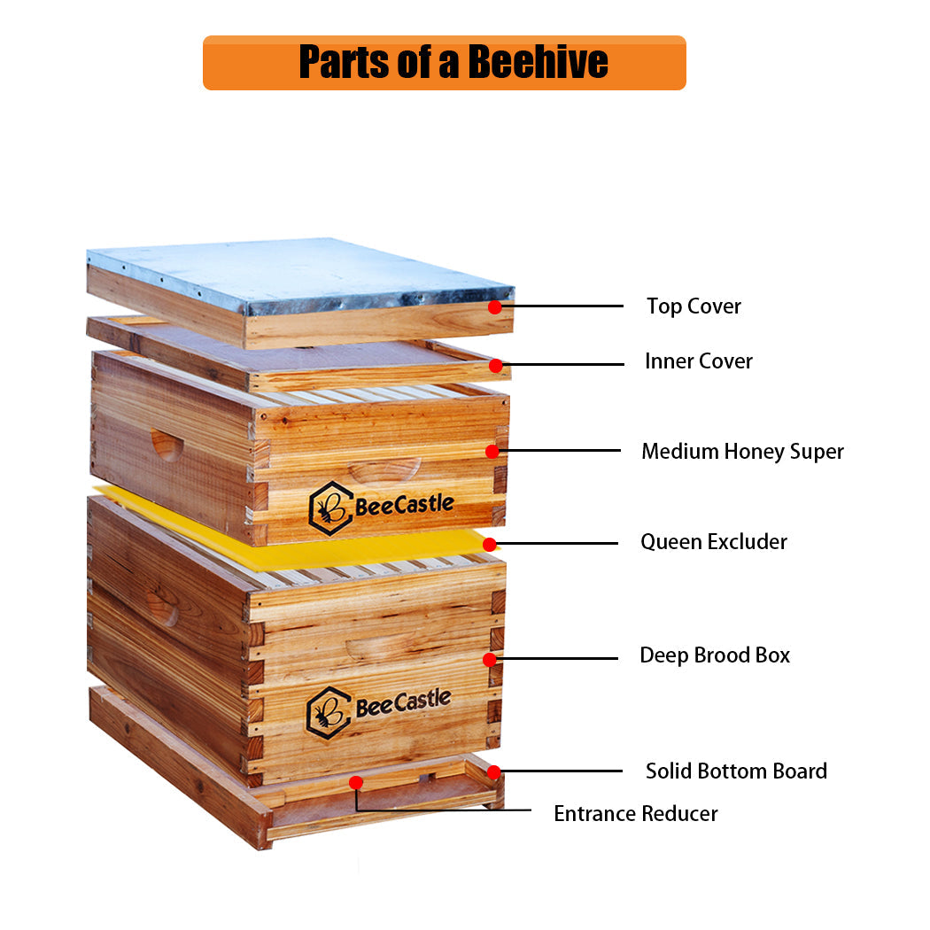 Beehive And Bee Box Wholesale – BeeCastle Hives