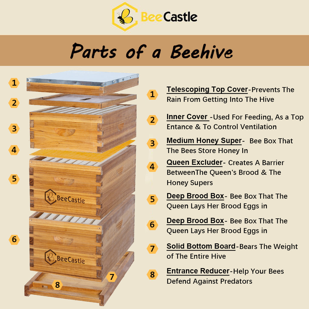 Unassembled Bee Boxes For Sale With Free Shipping | BeeCastle Hives