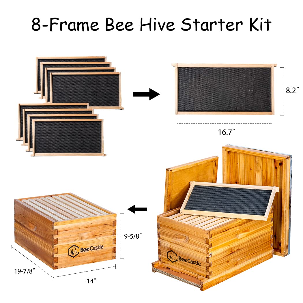 BeeCastle Hives Complete 8 Frame Deep Brood Beehive Starter Kit