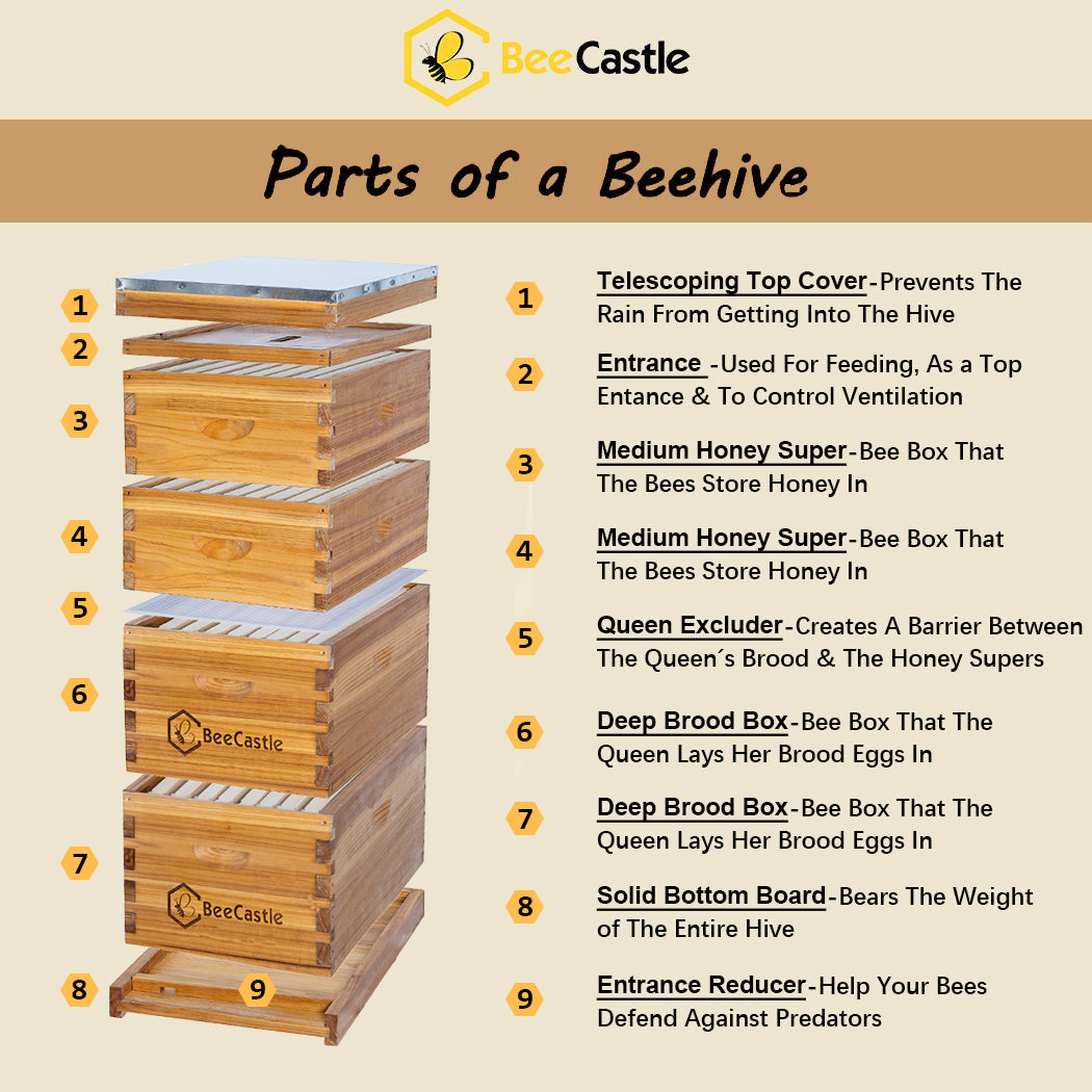 Beehive And Bee Box Wholesale – BeeCastle Hives